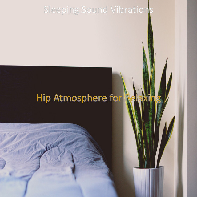 Hip Atmosphere for Relaxing - Album by Sleeping Sound Vibrations | Spotify