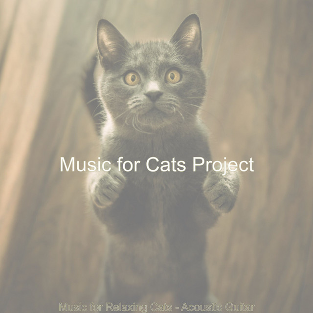 Tranquil Moods for Sleeping Cats - song and lyrics by Music for Cats ...