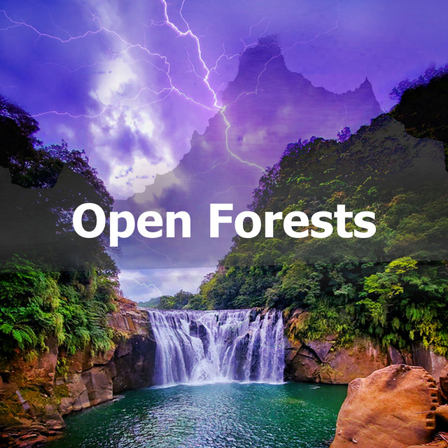Open Forests - Album by Nature & Sounds Backgrounds | Spotify