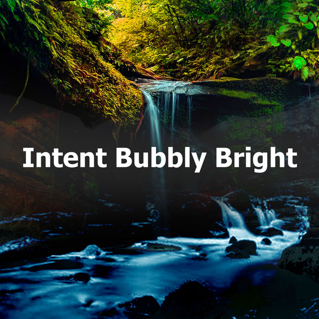 Intent Bubbly Bright - Album by Rainforest Sounds | Spotify