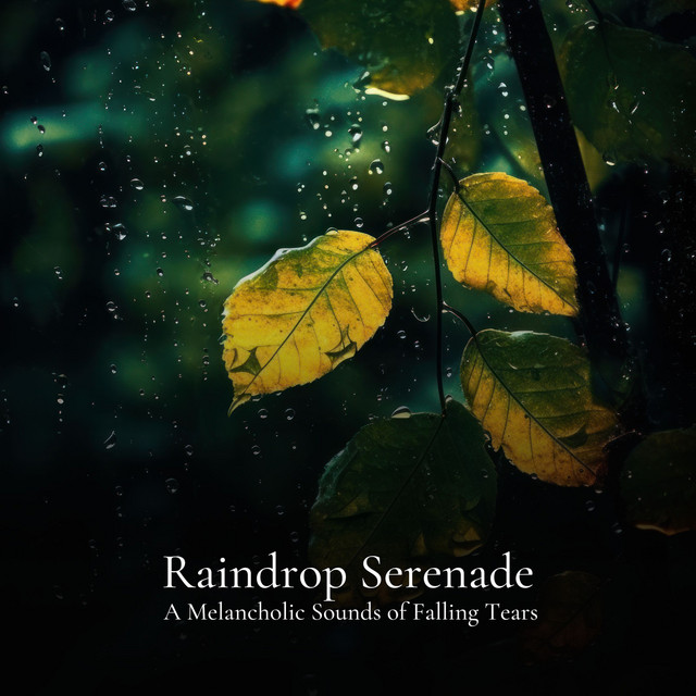 #01 Raindrop Serenade, A Melancholic Sounds of Falling Tears - Album by ...