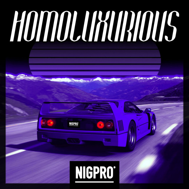 Homoluxurious Single By Nigpro Spotify 8514