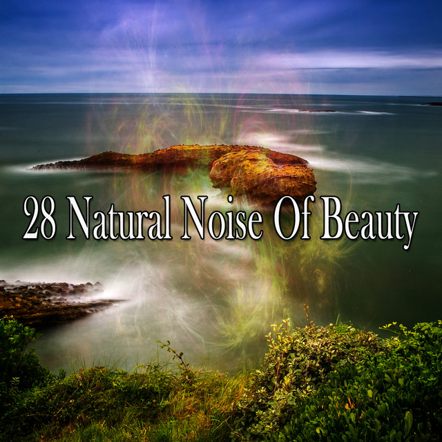 28 Natural Noise Of Beauty - Album by Nature Sounds Nature Music | Spotify