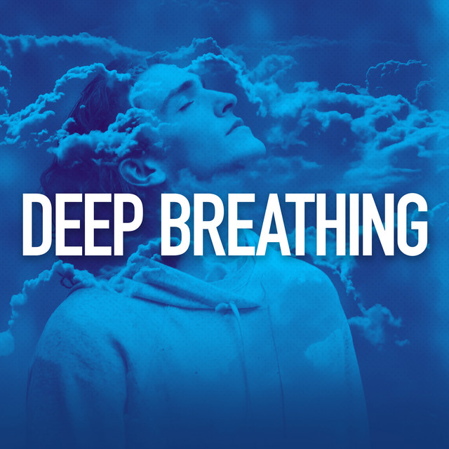 Deep Breathing ! ! ! ! - Album by Dormir Bien | Spotify