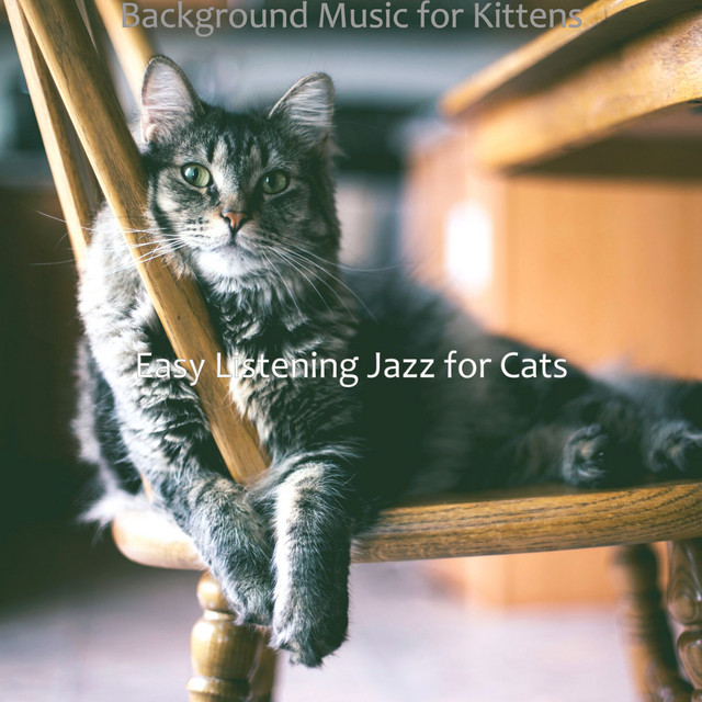 Easy Listening Jazz for Cats | Spotify