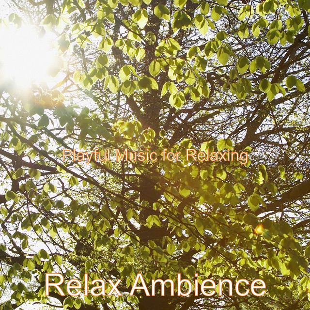 Playful Music for Relaxing - EP by Relax Ambience | Spotify