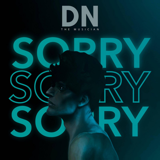 Sorry - Single by DN-The Musician | Spotify