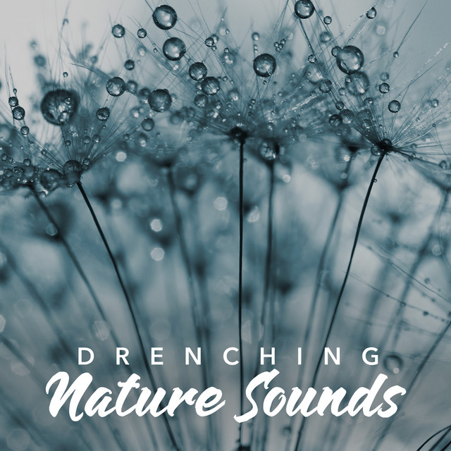 Drenching Nature Sounds ! ! ! ! - Album by Life Sounds Nature | Spotify