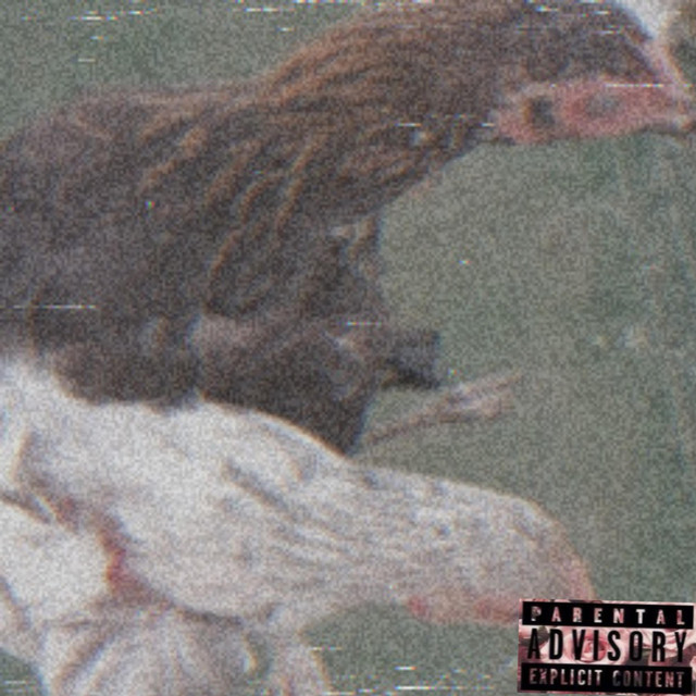 Provisions - Album by Band Gang Lonnie Bands | Spotify