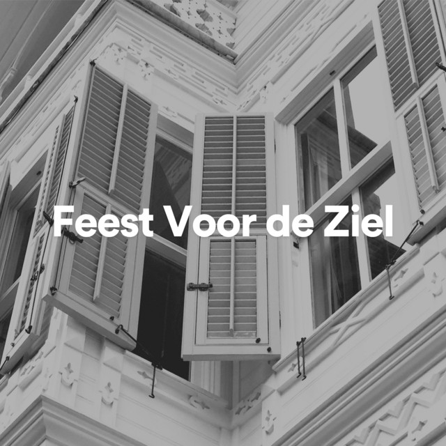 Feest Voor de Ziel - Album by Afslappende medicin | Spotify