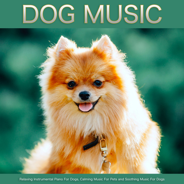 Dog Music: Relaxing Instrumental Piano For Dogs, Calming Music For Pets ...