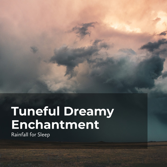 Tuneful Dreamy Enchantment - Album by Rain Man Sounds | Spotify
