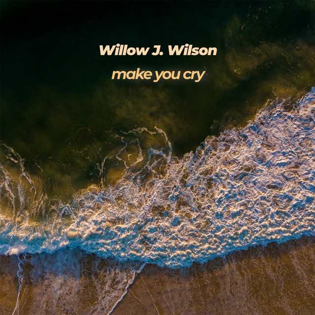 Make You Cry - song and lyrics by Willow J. Wilson | Spotify