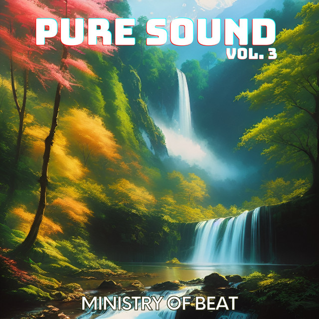 Pure Sound, Vol. 3 - Album by Ministry Of Beat | Spotify