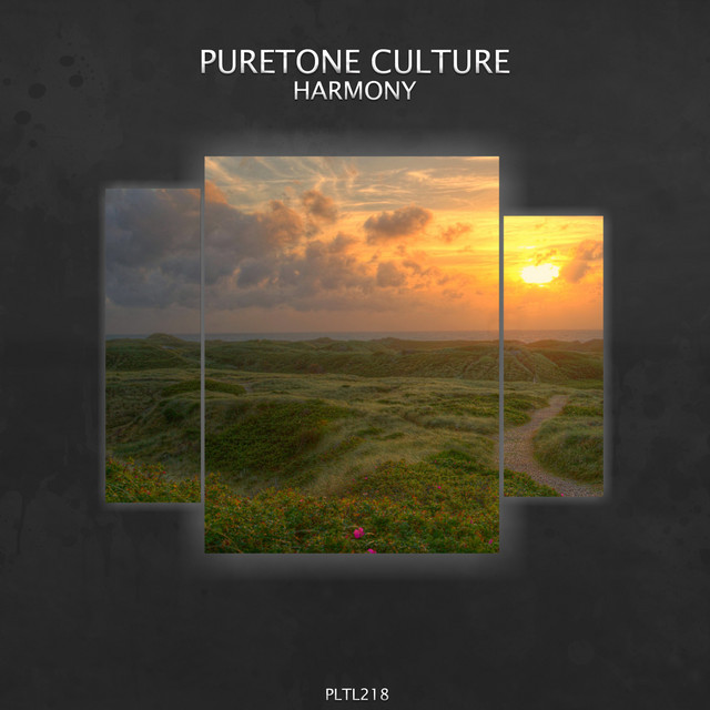 Puretone Culture | Spotify