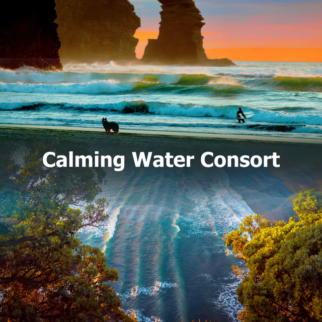 Calming Water Consort ! ! ! - Album by Calm Ocean Sounds | Spotify