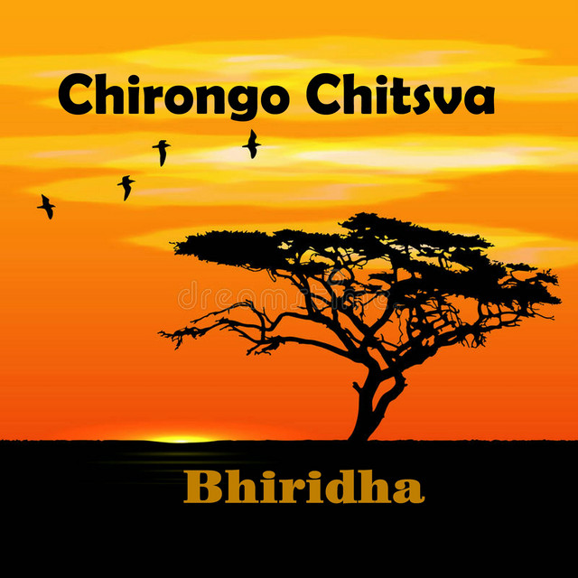 CHIRONGO CHITSVA - Single by Bhiridha | Spotify