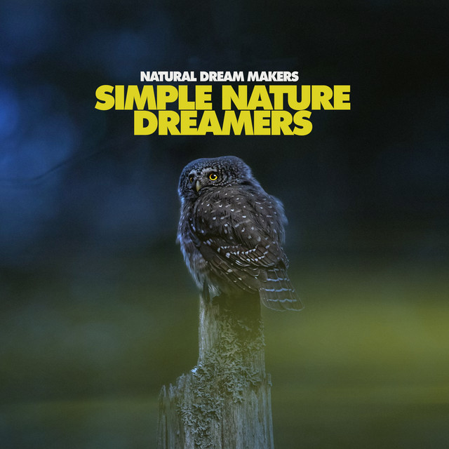 Simple Nature Dreamers - Album by Natural Dream Makers | Spotify