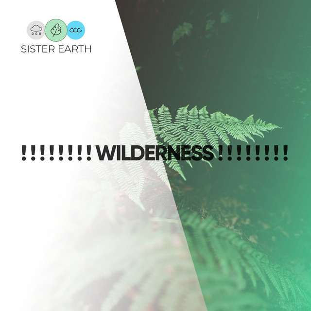 Wilderness ! ! ! ! ! ! ! ! - Album by Nature Sounds | Spotify