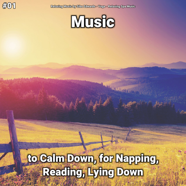 #01 Music to Calm Down, for Napping, Reading, Lying Down - Album by ...