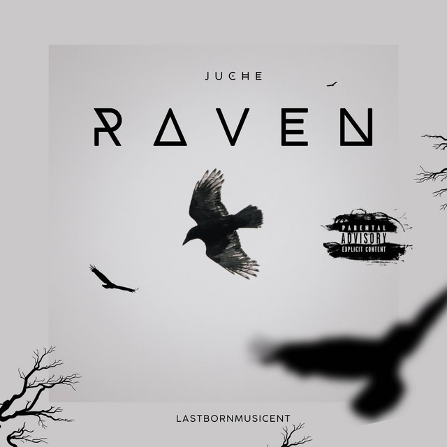 RAVEN - song and lyrics by JUCHElbm | Spotify