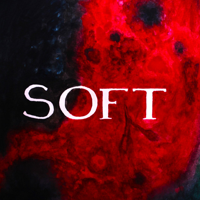 Soft Song And Lyrics By Clara Ziegler Spotify