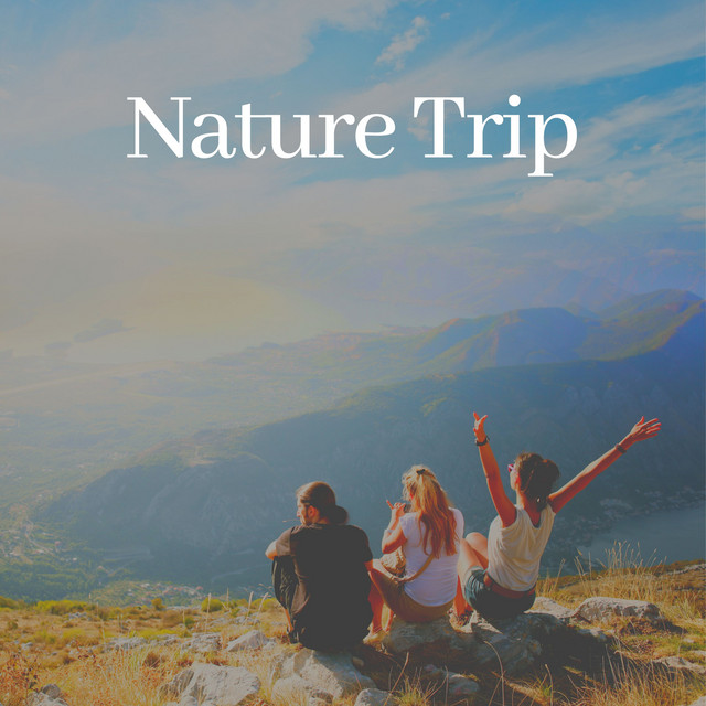 Nature Trip - Album by Soft Soundscapes | Spotify