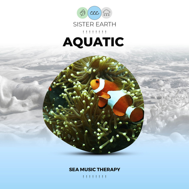 Aquatic Sea Music Therapy ! ! ! ! ! ! ! ! - Album by Ocean Sounds | Spotif