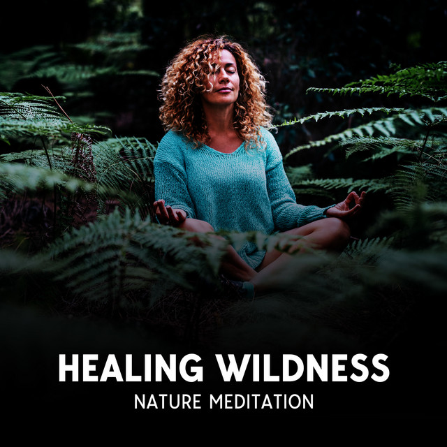 Healing Wildness: Nature Mediation - Album by Zen Meditation | Spotify