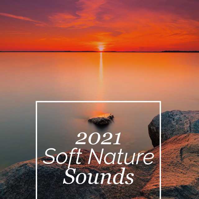 2021 Soft Nature Sounds - Album by Nature Ambience | Spotify