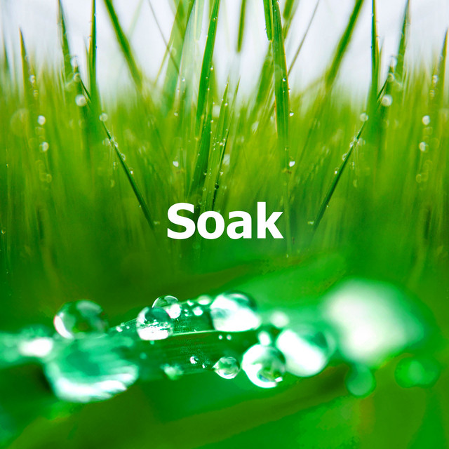 Soak - Album by Lush Rain Creators | Spotify