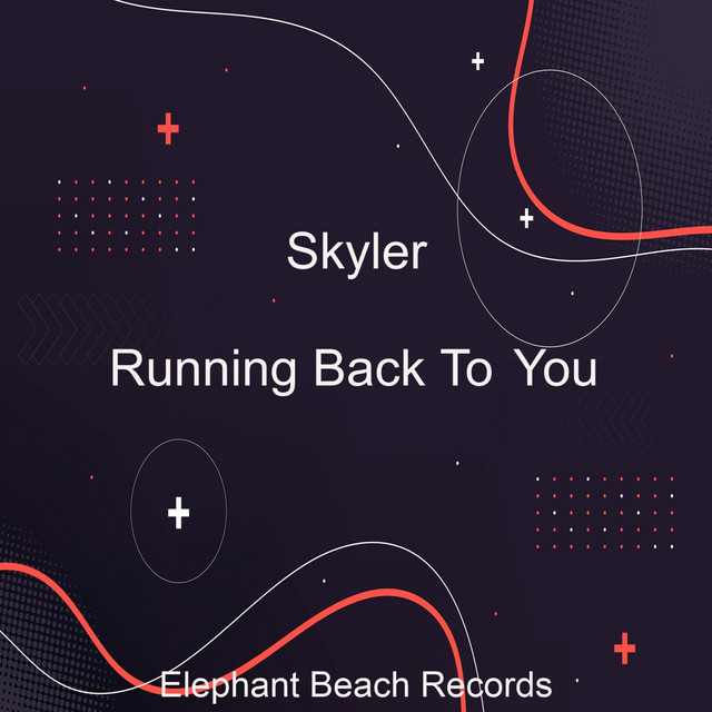 Skyler | Spotify