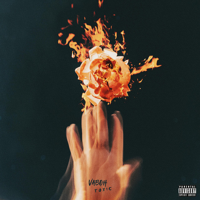 Toxic - Single by Vaboh | Spotify