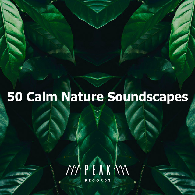 50 Calm Nature Soundscapes - Album by Nature Soundscapes | Spotify