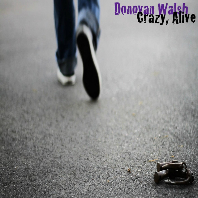 Risk My Life (feat. Vinay) - song and lyrics by Donovan Walsh | Spotify