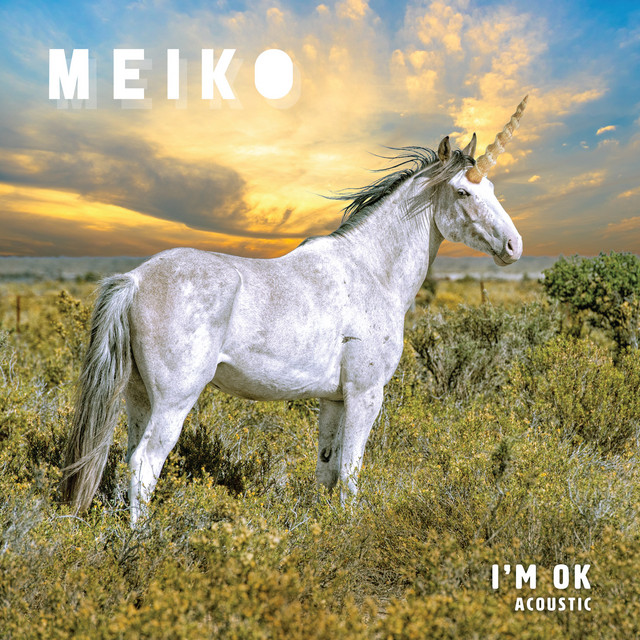 I'm OK (Acoustic) - Single by Meiko | Spotify