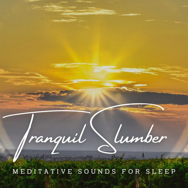 Tranquil Slumber: Meditative Sounds for Sleep - Album by Sleep Time ...