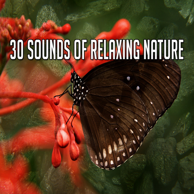 30 Sounds Of Relaxing Nature - Album by Mother Nature Sound FX | Spotify