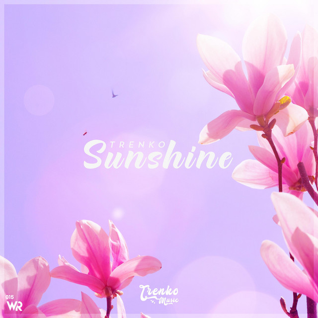 Sunshine - Single by Trenko | Spotify