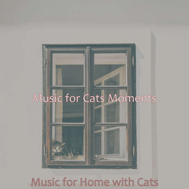 Chilled Moods for Training My Cat – música e letra de Music for Cats ...