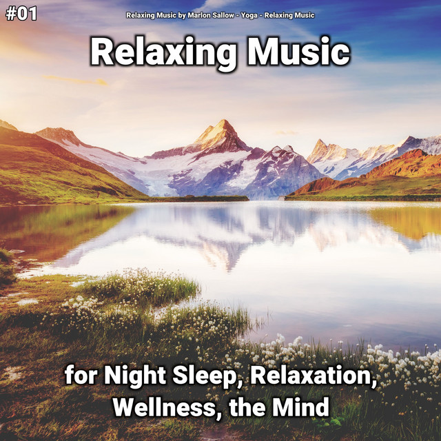 #01 Relaxing Music for Night Sleep, Relaxation, Wellness, the Mind ...
