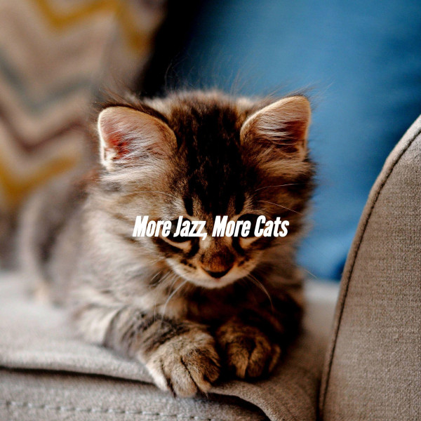 More Jazz, More Cats - Album by Musica de Jazz para Hoteles | Spotify