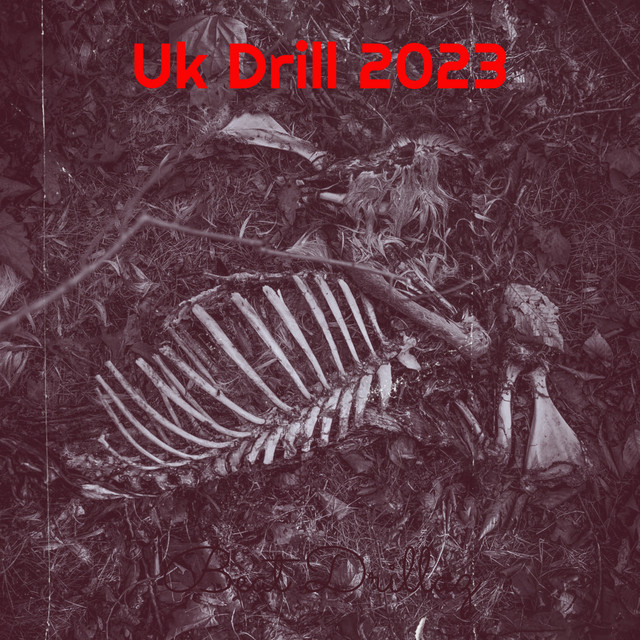 Uk Drill 2023 - Single by Beat Drillaz | Spotify
