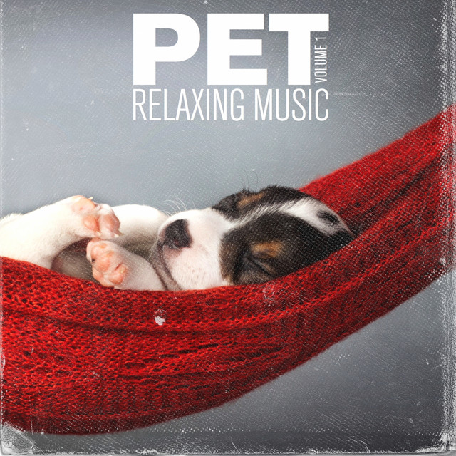 BPM and key for songs by Milly D'Abbraccio | Tempo for Milly D ...