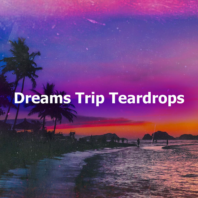 Dreams Trip Teardrops - Album by HIP-HOP LOFI | Spotify