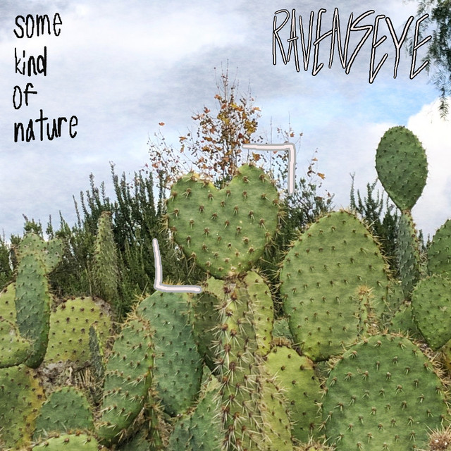 Some Kind of Nature - Single by RAVENSEYE | Spotify