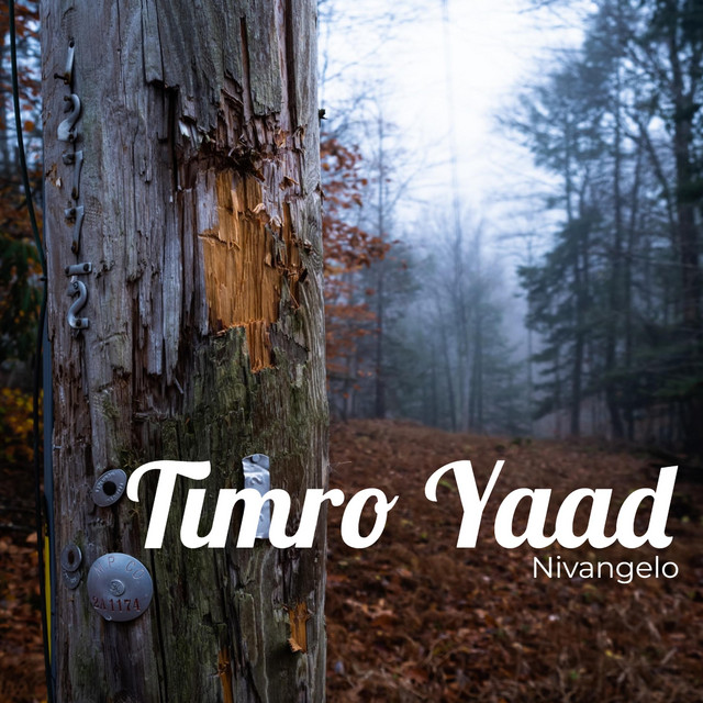 Timro Yaad - Single by Nivangelo | Spotify