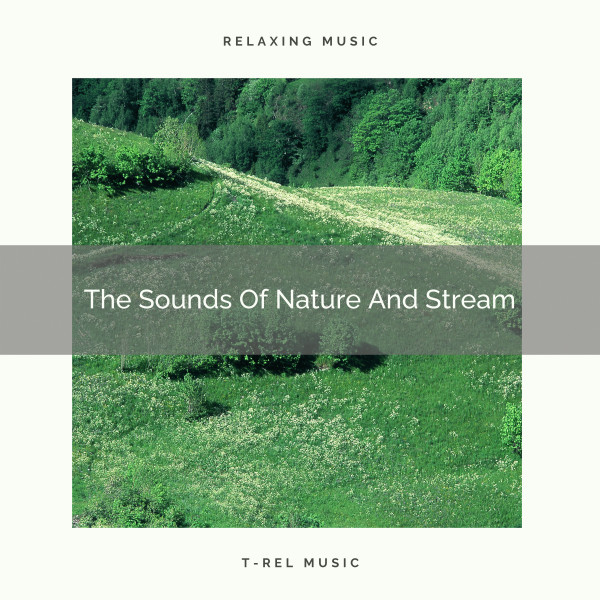 The Sounds Of Nature And Stream - EP by Nature Songs Nature Music | Spotify