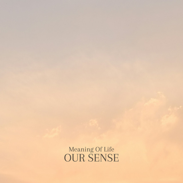 Meaning Of Life Song And Lyrics By Our Sense Spotify