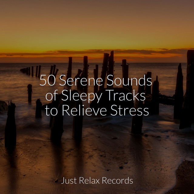 50 Serene Sounds of Sleepy Tracks to Relieve Stress - Album by Exam ...